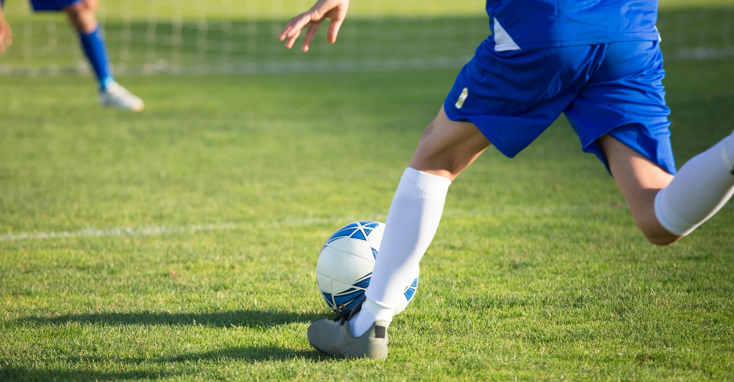 Chamois Niortais Saint-Flo : bilan mitigé, nouveau coach et ambition ...